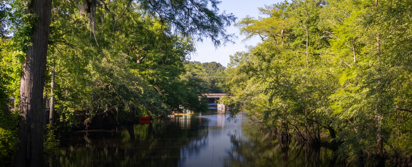 The Lumber River: A Wild and Scenic Wonder in Lumberton, NC